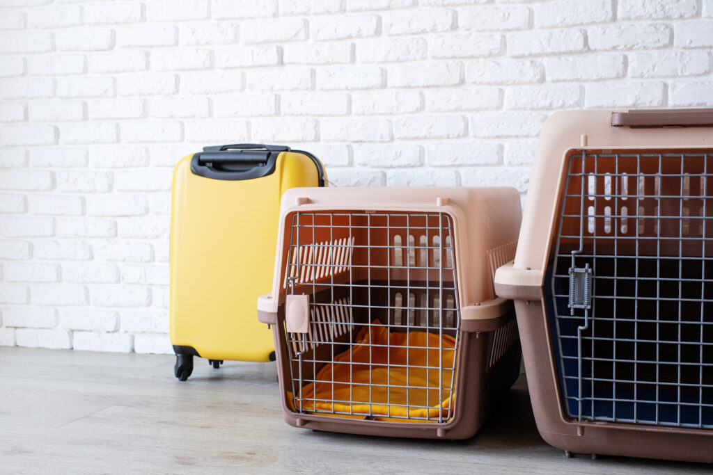 Custom Dog Travel Crates – IATA Approved - Pets in Transit