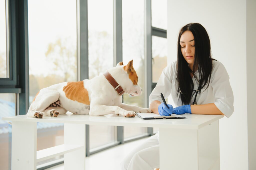 Health Certificates for Pet Travel - Pets in Transit